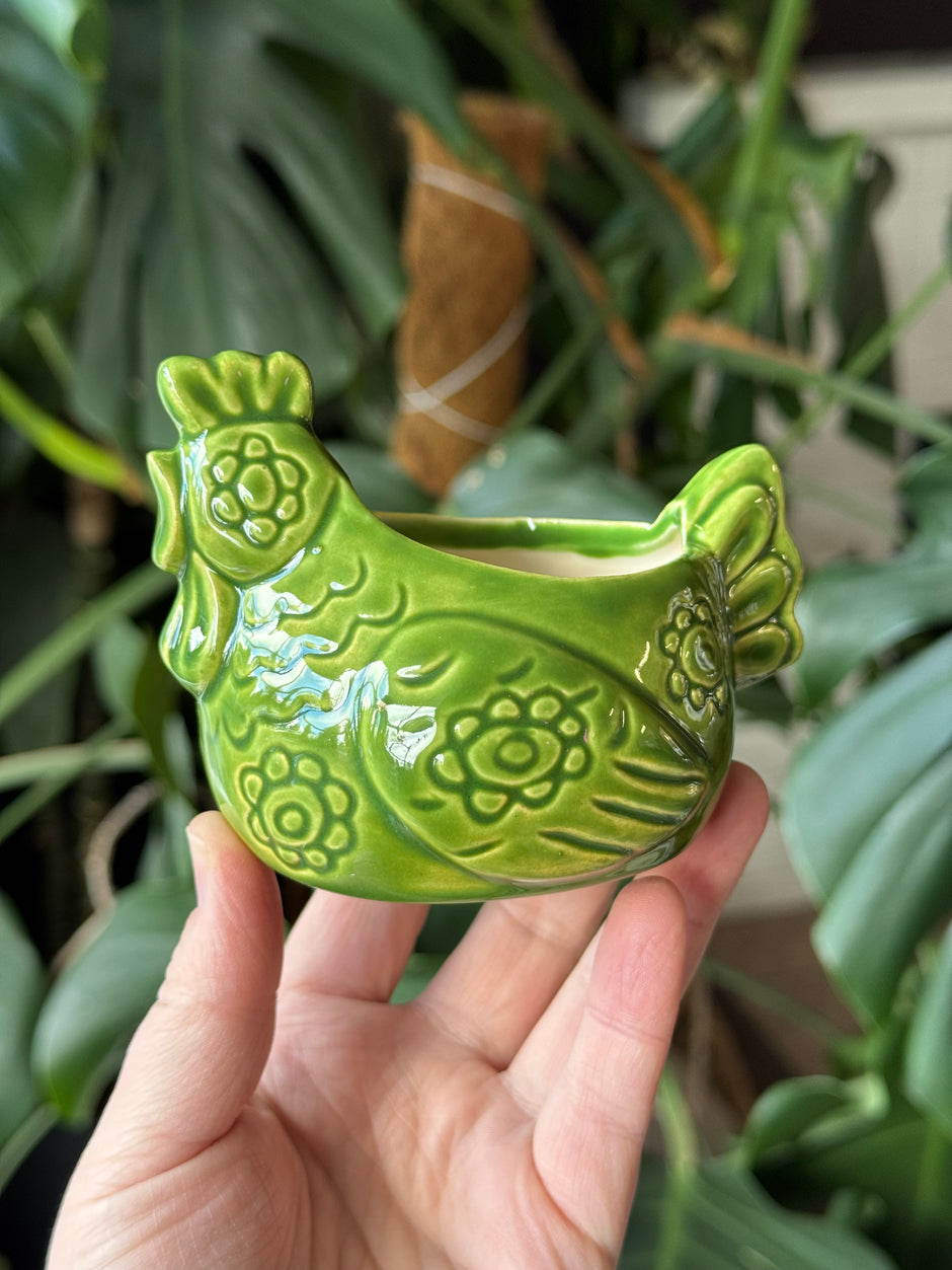 Finished Ceramics – Sunroom Ceramics